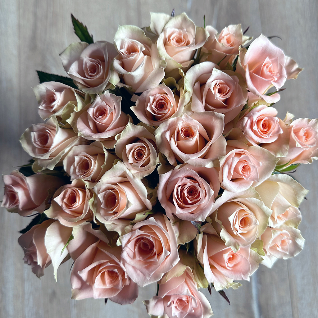 170878-04 - Kreative Roses